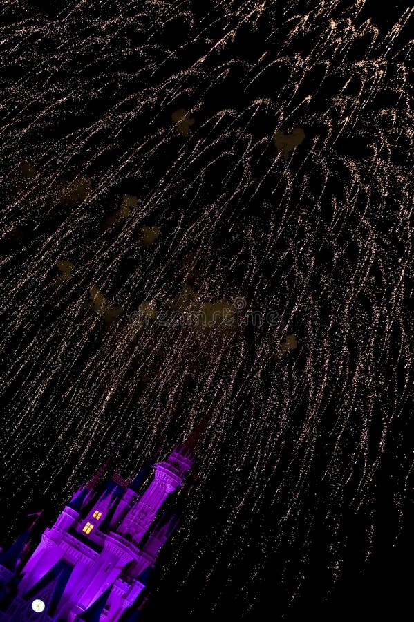 Disney World castle editorial photo. Image of citadel - 4998651