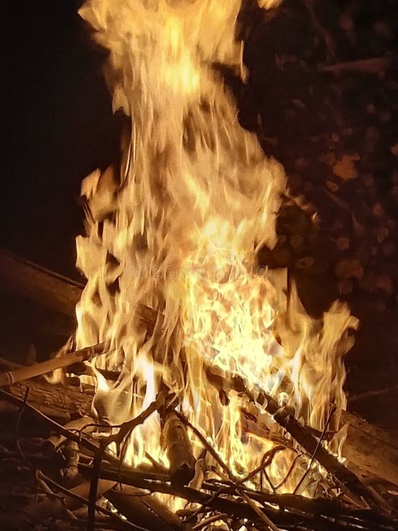 The Fire is Yellow and Burning Stock Photo - Image of burning ...