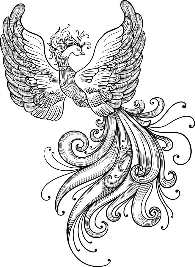Firebird Drawing Stock Illustrations – 558 Firebird Drawing Stock ...