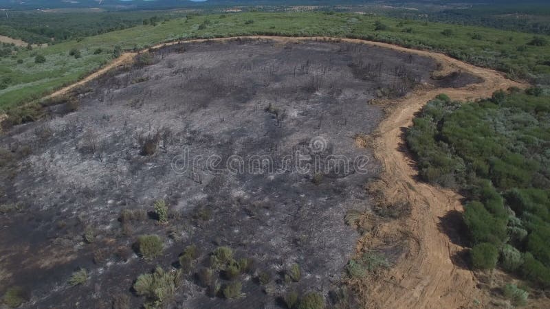Firebreak Around Burnt Area Stock Video - Video of safety, control ...