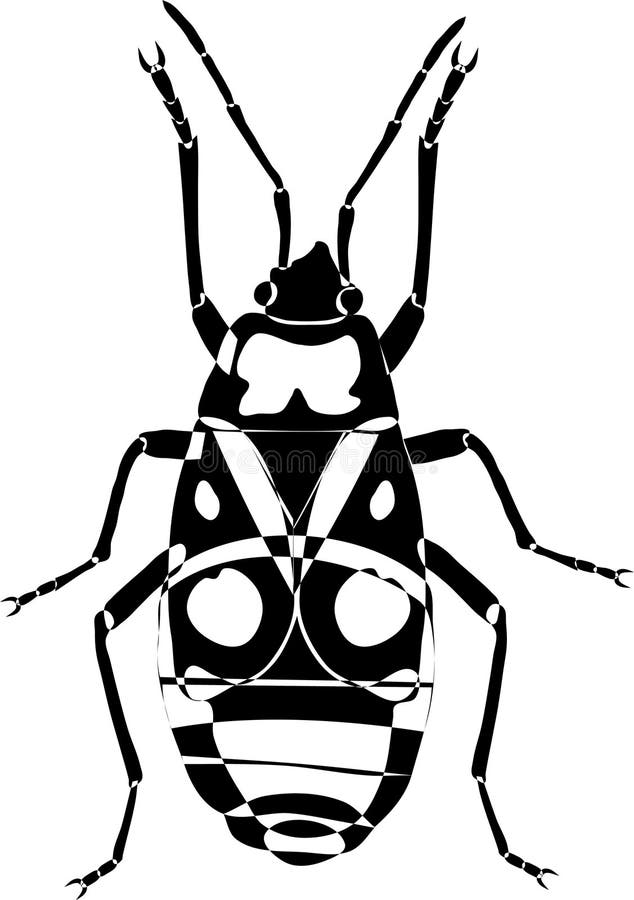 Firebug Stock Illustrations – 480 Firebug Stock Illustrations, Vectors ...