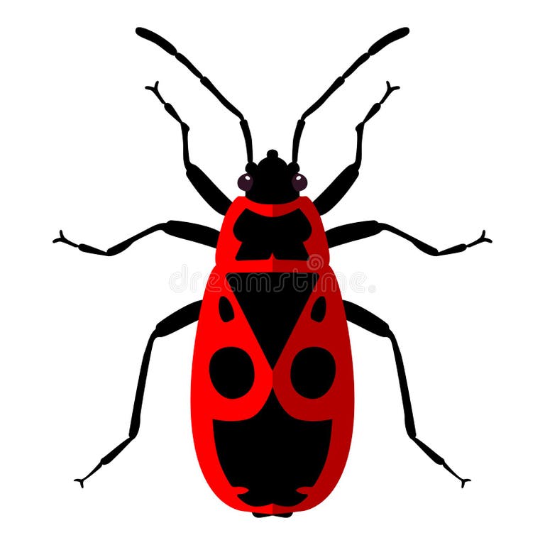 Firebug. Vector Illustration. Isolated on a White Stock Vector - Illustration of outdoor, fauna ...