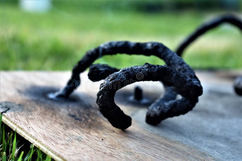 The firecracker worm stock photo. Image of ashes, firecracker - 96457498