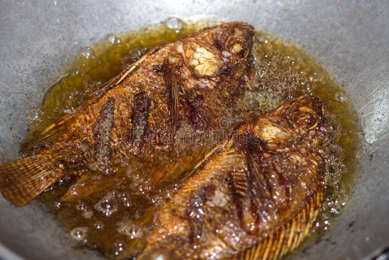 Fired fish stock image. Image of healthy, dish, kitchen - 53792897