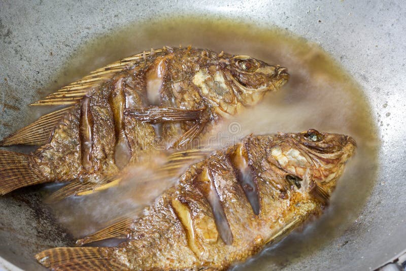 Fired fish stock image. Image of food, banquet, lifestyle - 53793117