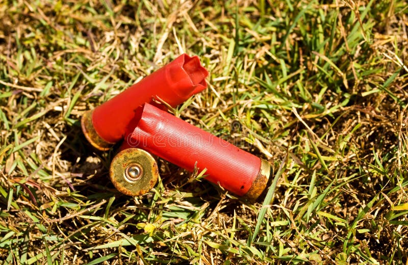 Fired Shells Empty Red Shot Gun Bullet Cartridges Stock Photo - Image ...