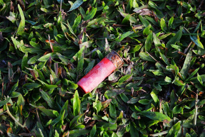 357 Bullet Cartridges with Speed Loader Stock Image - Image of revolver ...