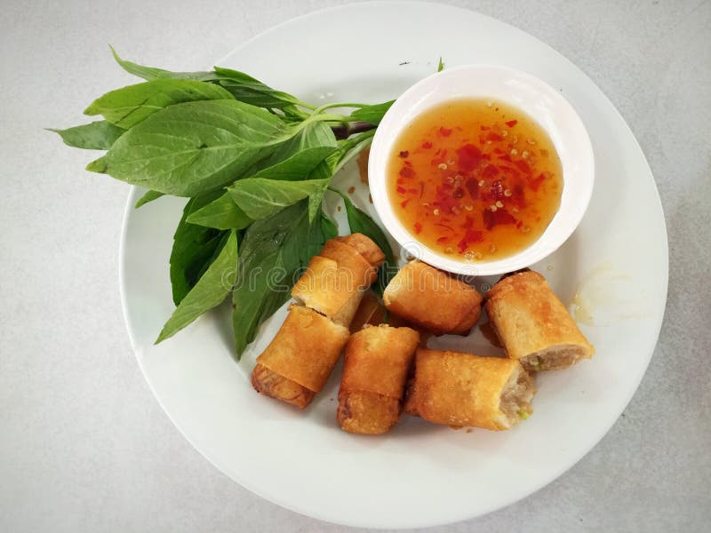 Fired Spring Rolls on White Dish Stock Image - Image of rolls, basil ...
