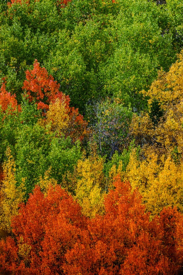 Firefall stock image. Image of pass, study, texture, landscape - 79433157