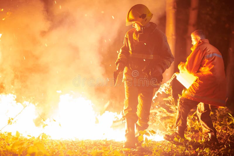 Firefighter in action stock image. Image of help, officer - 192974065