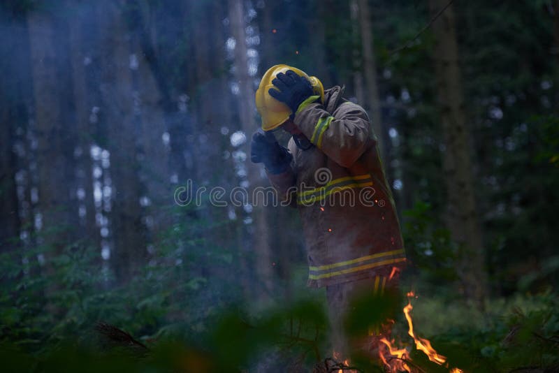 Firefighter in action stock image. Image of jump, help - 192984153