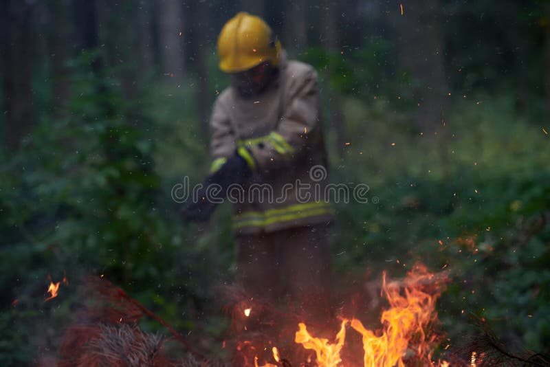 Firefighter in action stock photo. Image of disaster - 192984478
