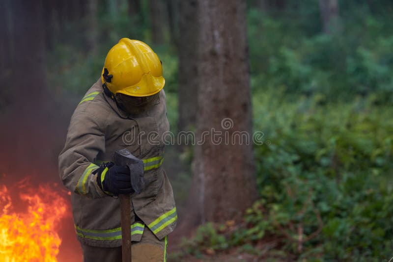 Firefighter in action stock image. Image of human, department - 192985611