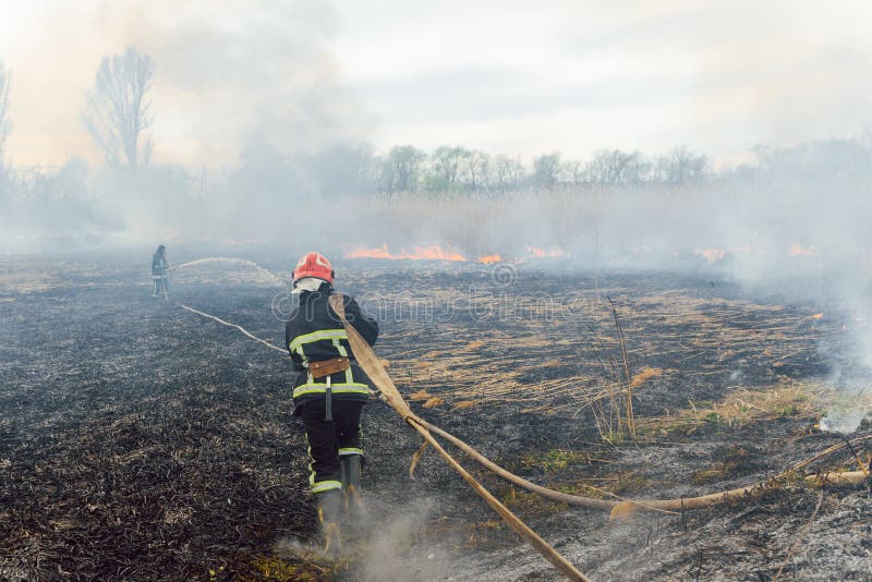 Firefighter Battle with the Wildfire. Firefighters are Training Stock ...