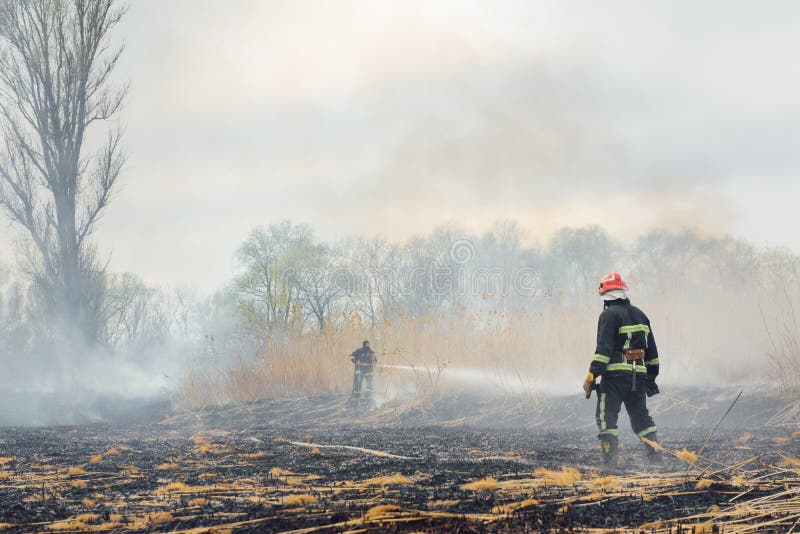 Firefighter Battle with the Wildfire. Firefighters are Training Stock ...