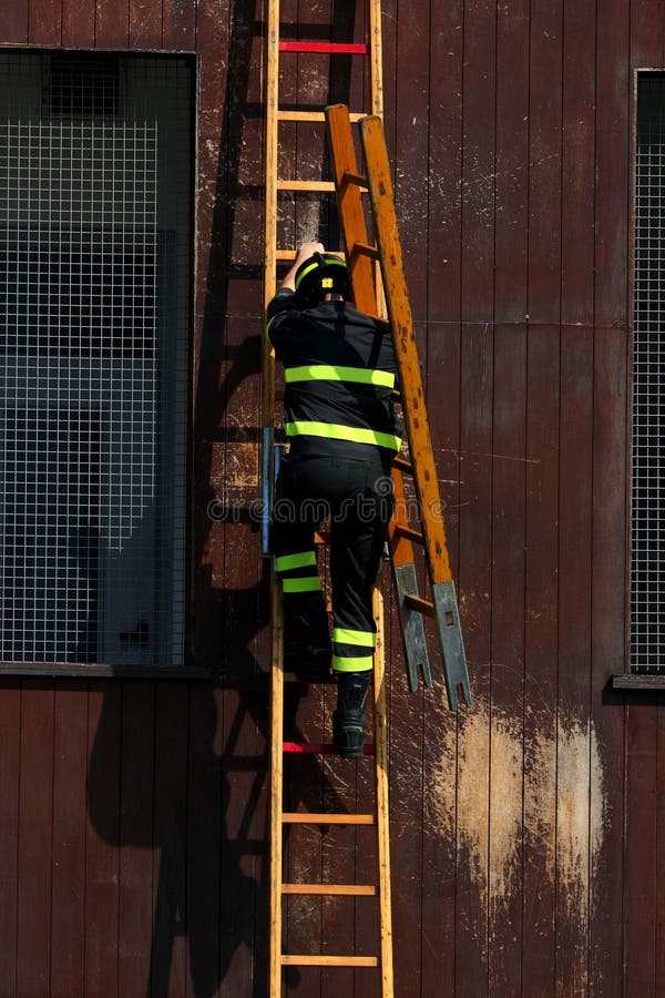 Firefighter is Climbing a Wooden Ladder during a Training Exercise ...