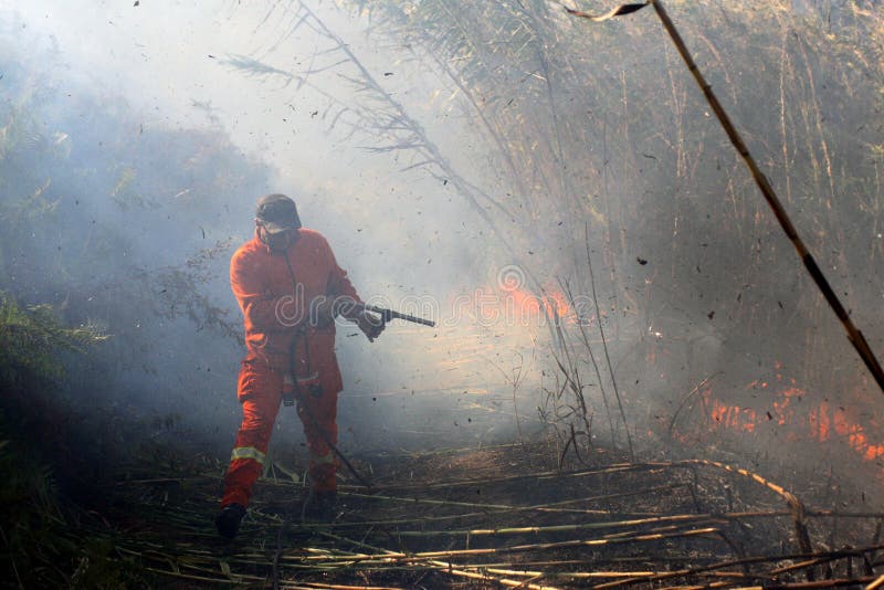 Firefighter editorial image. Image of firefighter, inferno - 60370905