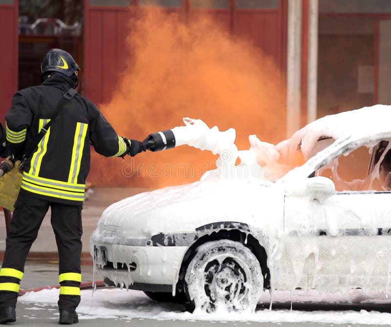 Extinguished Fire in a Natural Park Stock Photo - Image of firefighter ...