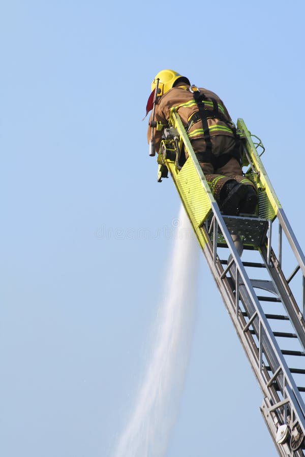 Firefighter on Ladder stock photo. Image of fighter, ladder - 7903350