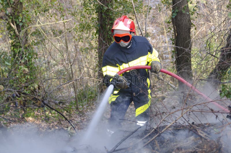 Firefighter fighting fire stock photo. Image of hero - 23265306