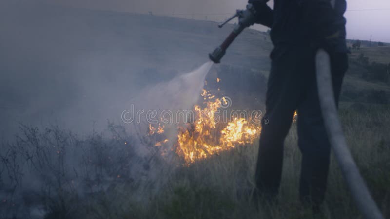 Firefighter Hands Grabbing Rope in Tree Rescue Stock Video - Video of ...