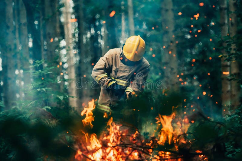 Firefighter at Job. Firefighter in Dangerous Forest Areas Surrounded by ...