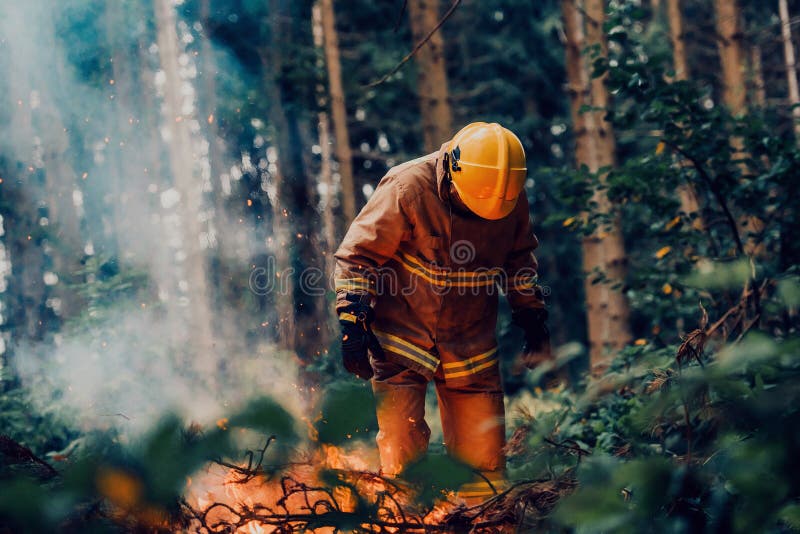 Firefighter at Job. Firefighter in Dangerous Forest Areas Surrounded by ...