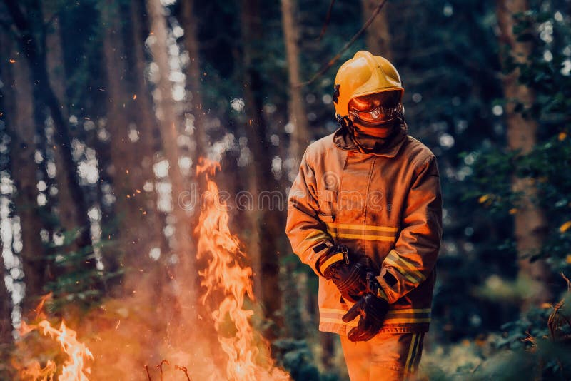 Firefighter at Job. Firefighter in Dangerous Forest Areas Surrounded by ...