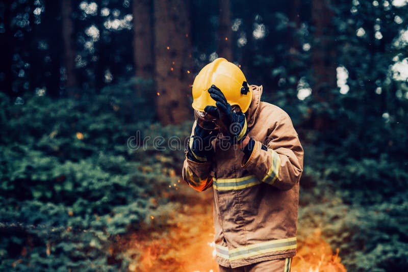 Firefighter at Job. Firefighter in Dangerous Forest Areas Surrounded by ...