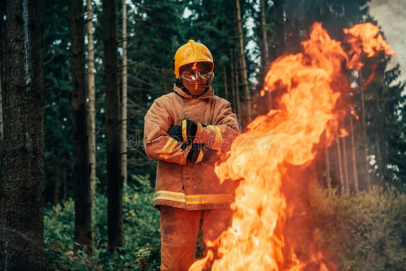 Firefighter at Job. Firefighter in Dangerous Forest Areas Surrounded by ...