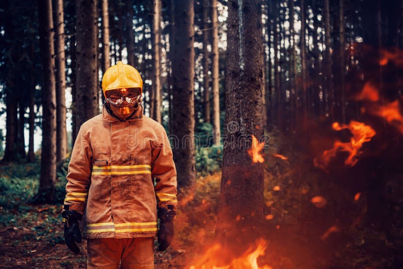 Firefighter at Job. Firefighter in Dangerous Forest Areas Surrounded by ...