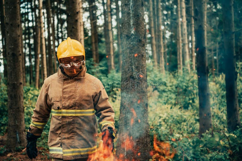 Firefighter at Job. Firefighter in Dangerous Forest Areas Surrounded by ...