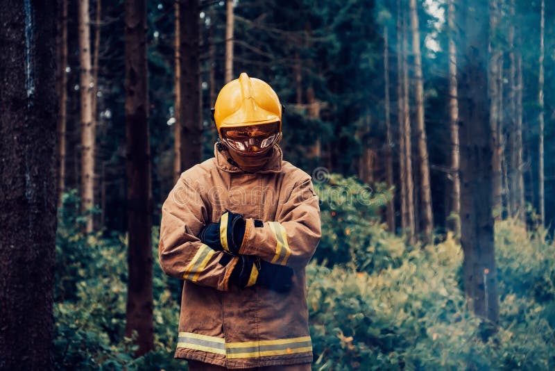 Firefighter at Job. Firefighter in Dangerous Forest Areas Surrounded by ...