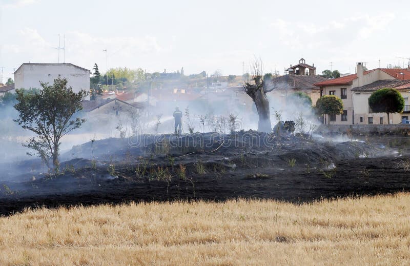 Firefighter through the Smoke Cooling the Burned Grass with Water after ...
