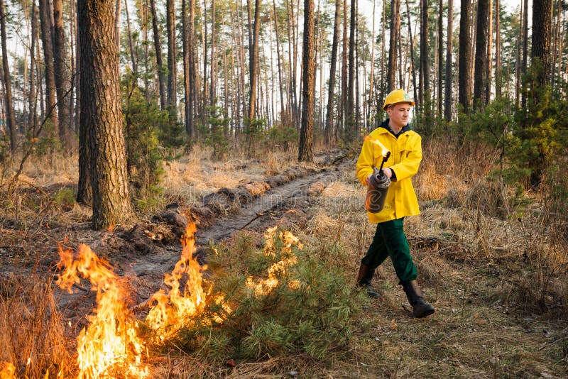 Prescribed Fire Low Intensity Southeast Stock Photos - Free & Royalty ...