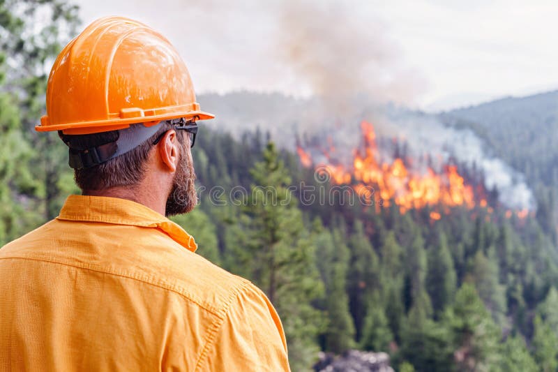 Firefighter and Wildfire Safety Training Stock Illustration ...
