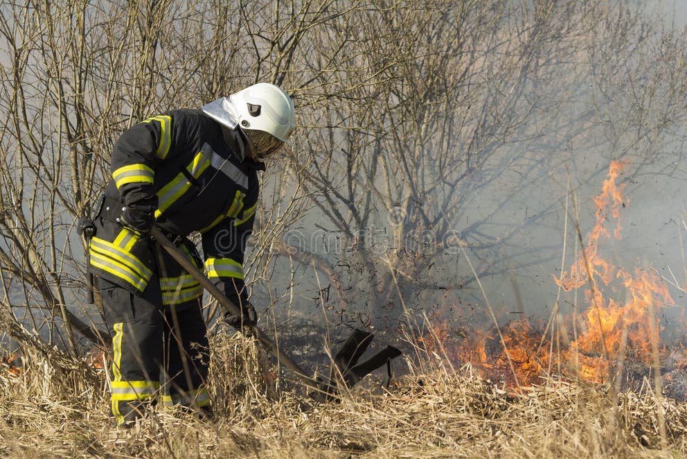 Firefighters Battle a Wildfire Editorial Photo - Image of fireman ...