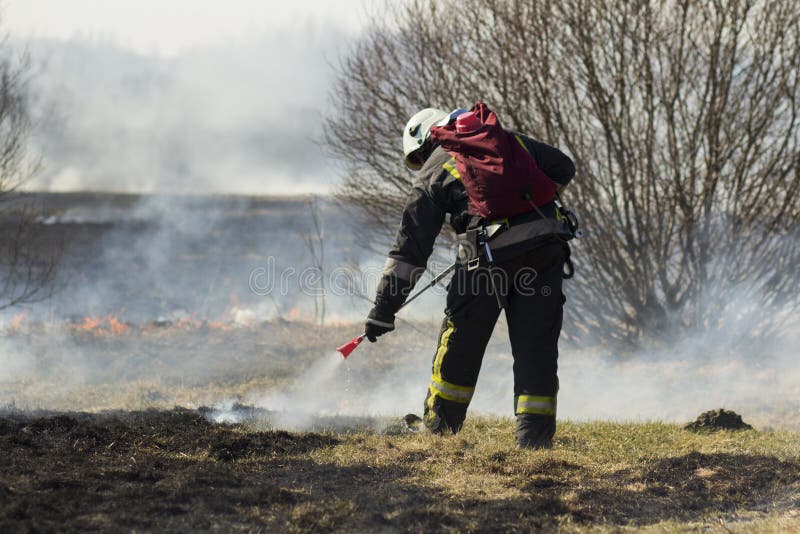 Firefighters Battle a Wildfire Editorial Photo - Image of ecology ...