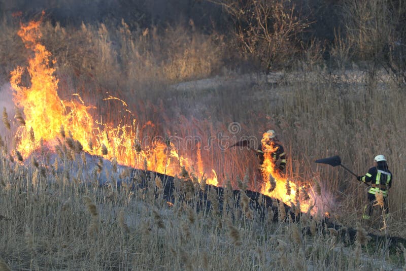 Firefighters Battle a Wildfire in Spring. Stock Image - Image of ...