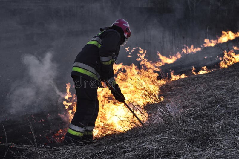 Firefighters Blow Out a Fire in in the Meadow Stock Image - Image of ...