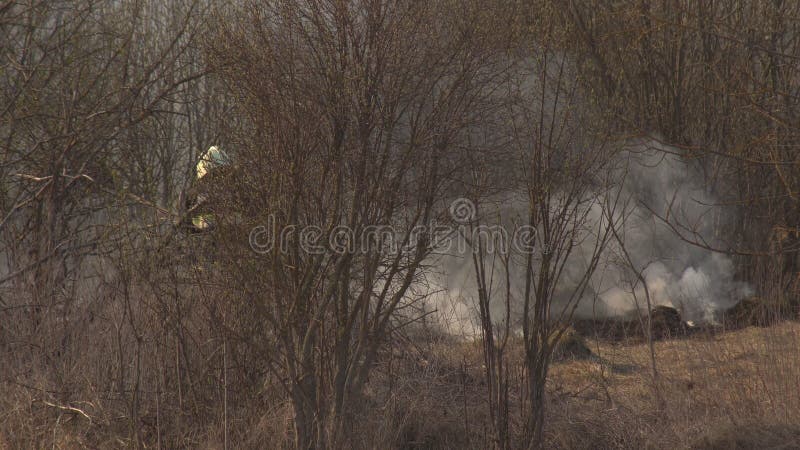 Firefighters Extinguish Dry Grass and Burning Forest during a Fire ...