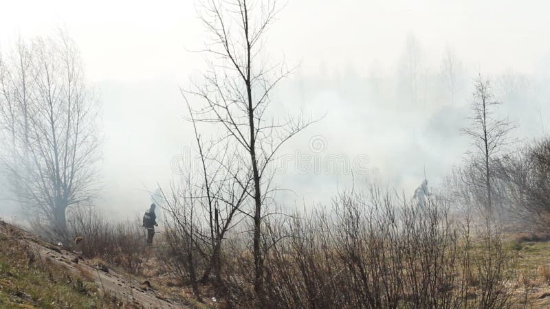 Firefighters Extinguish Dry Grass and Burning Forest during a Fire ...