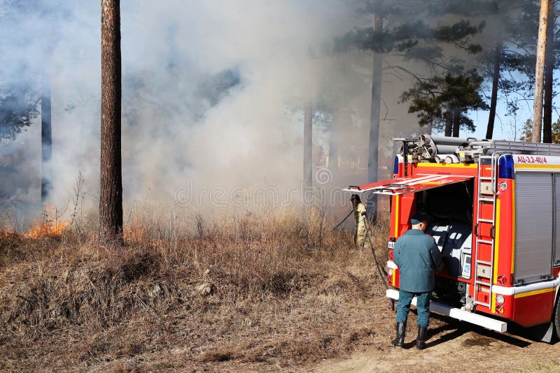 Firefighters Extinguish a Fire in a City Park Editorial Stock Photo ...