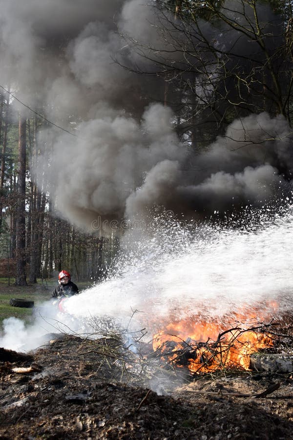 Firefighters Extinguish the Fire Stock Image - Image of action, color ...