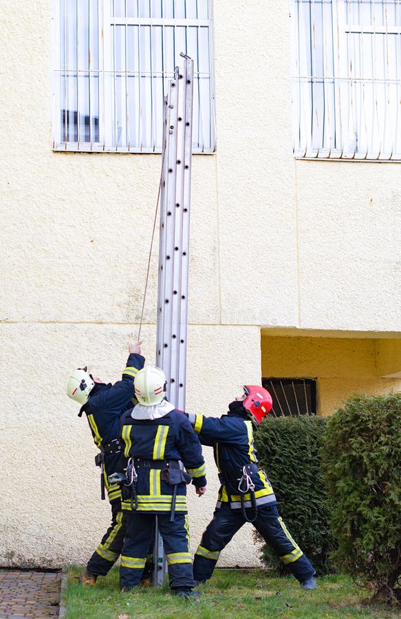 Firefighters with ladder editorial photography. Image of equipment ...