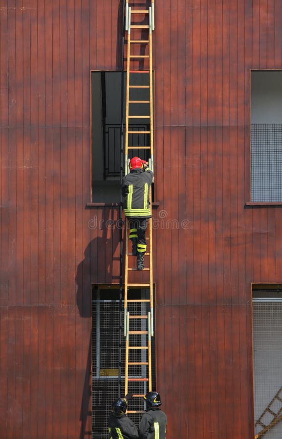 Firefighters on ladder stock image. Image of moving, emergency - 9464097