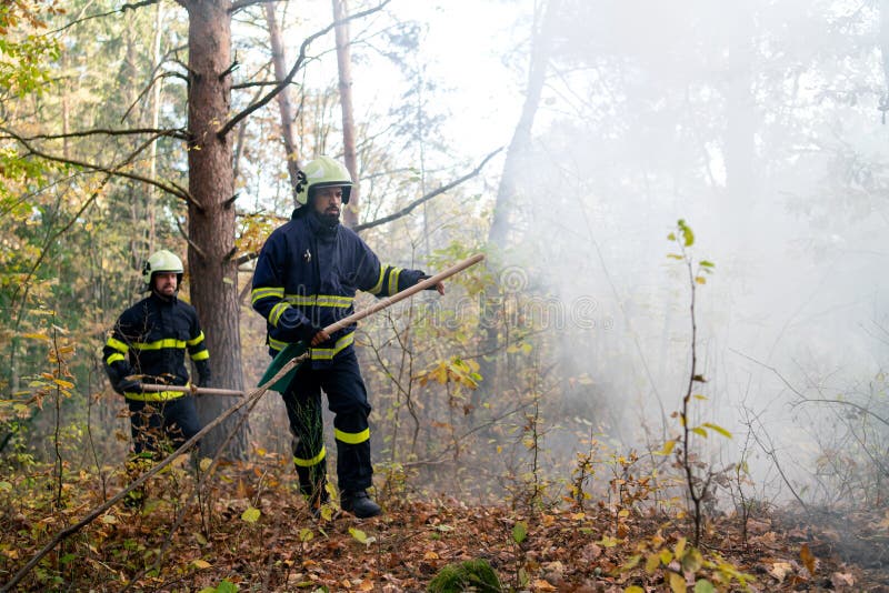 Firefighters Men at Action, Running through Smoke with Shovels To Stop ...