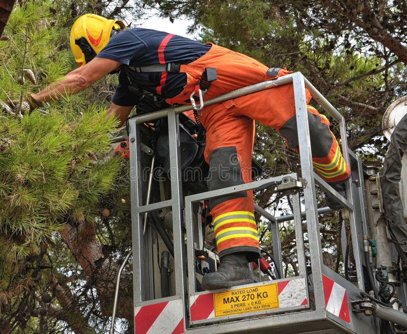 Firefighters on Platform Doing Tree Cleaning Work Stock Image - Image ...