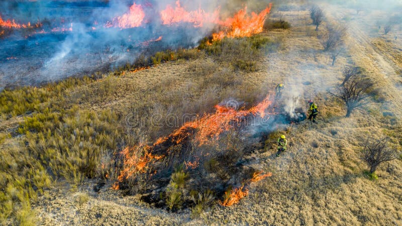 Firefighters Put Out a Fire in the Forest. Aerial View Stock Image ...