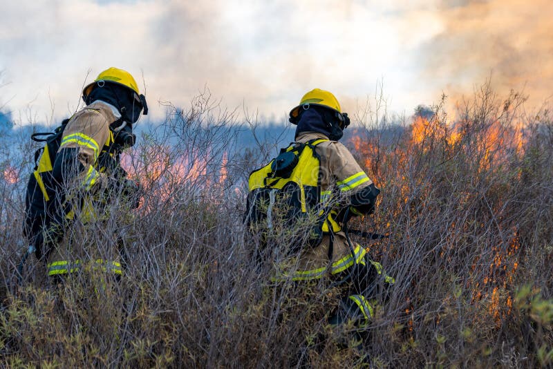 Firefighters Put Out a Fire in the Forest Stock Image - Image of grass ...